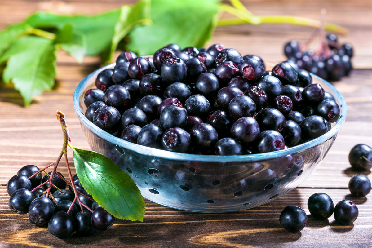 Kann Man Aroniabeeren Roh Essen